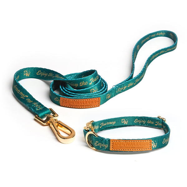 Dogwalkers Leash & Collar Set